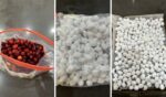Popping Cranberries: The TikTok Treat You’ll Love | Jeannie Pence